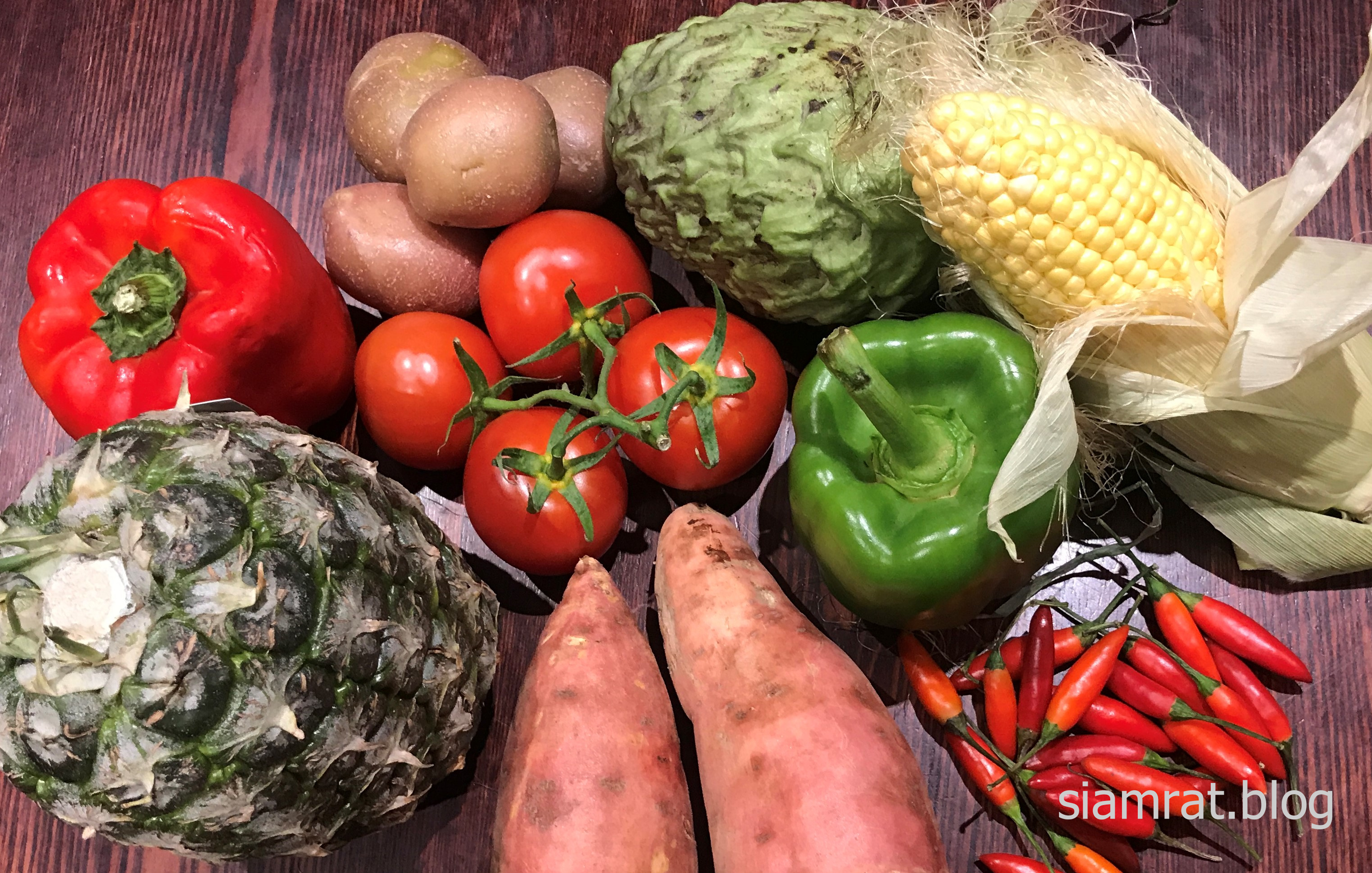 The Remarkable History of the Portuguese in Thailand – Siam Rat Blog