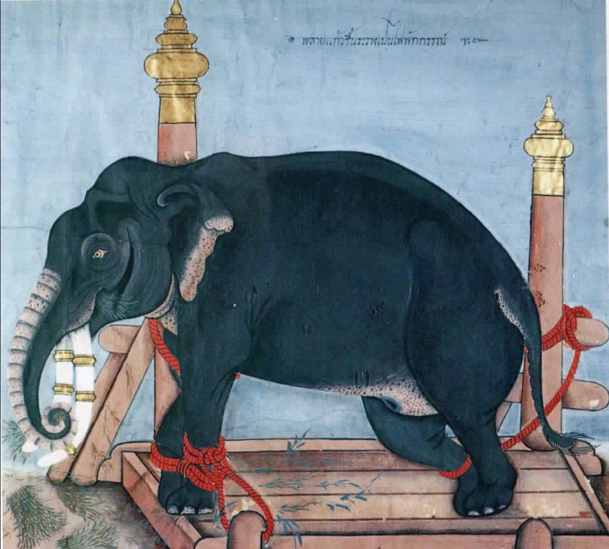 Land of the White Elephant – Siam Rat Blog